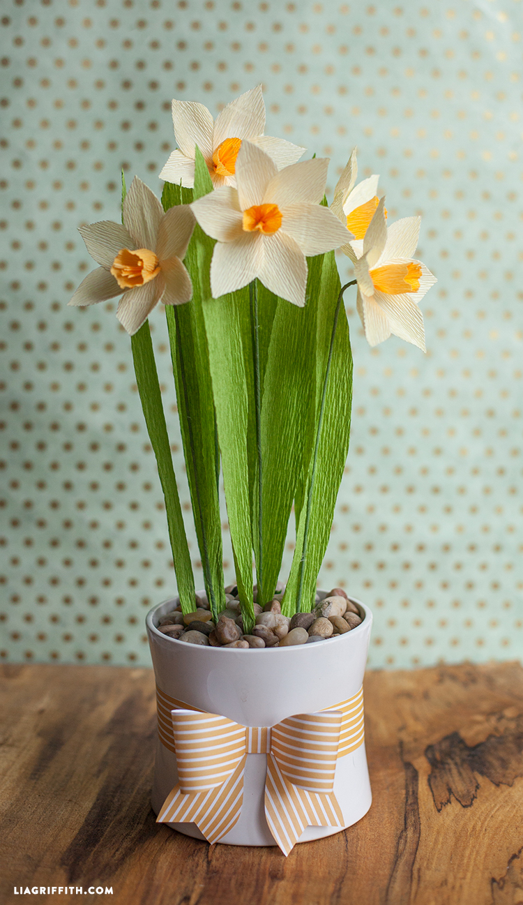 Crepe Paper Daffodils Lia Griffith