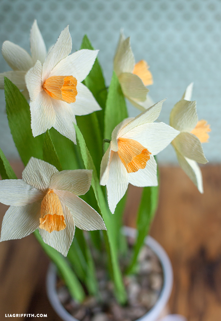 Crepe Paper Daffodils Lia Griffith
