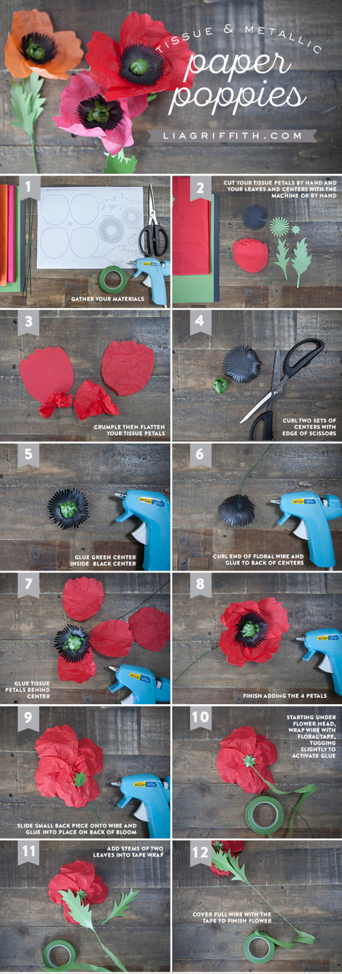 Easy To Follow Tissue paper Poppy Tutorial by Lia Griffith