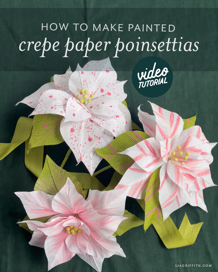 Painted Pink Crepe Paper Poinsettias Template Tutorial Lia Griffith